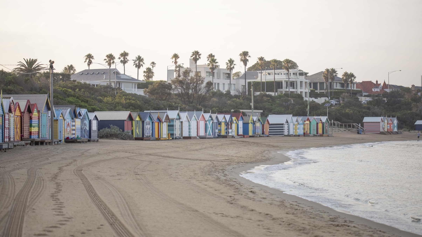 Pillar+Tide - Fortis