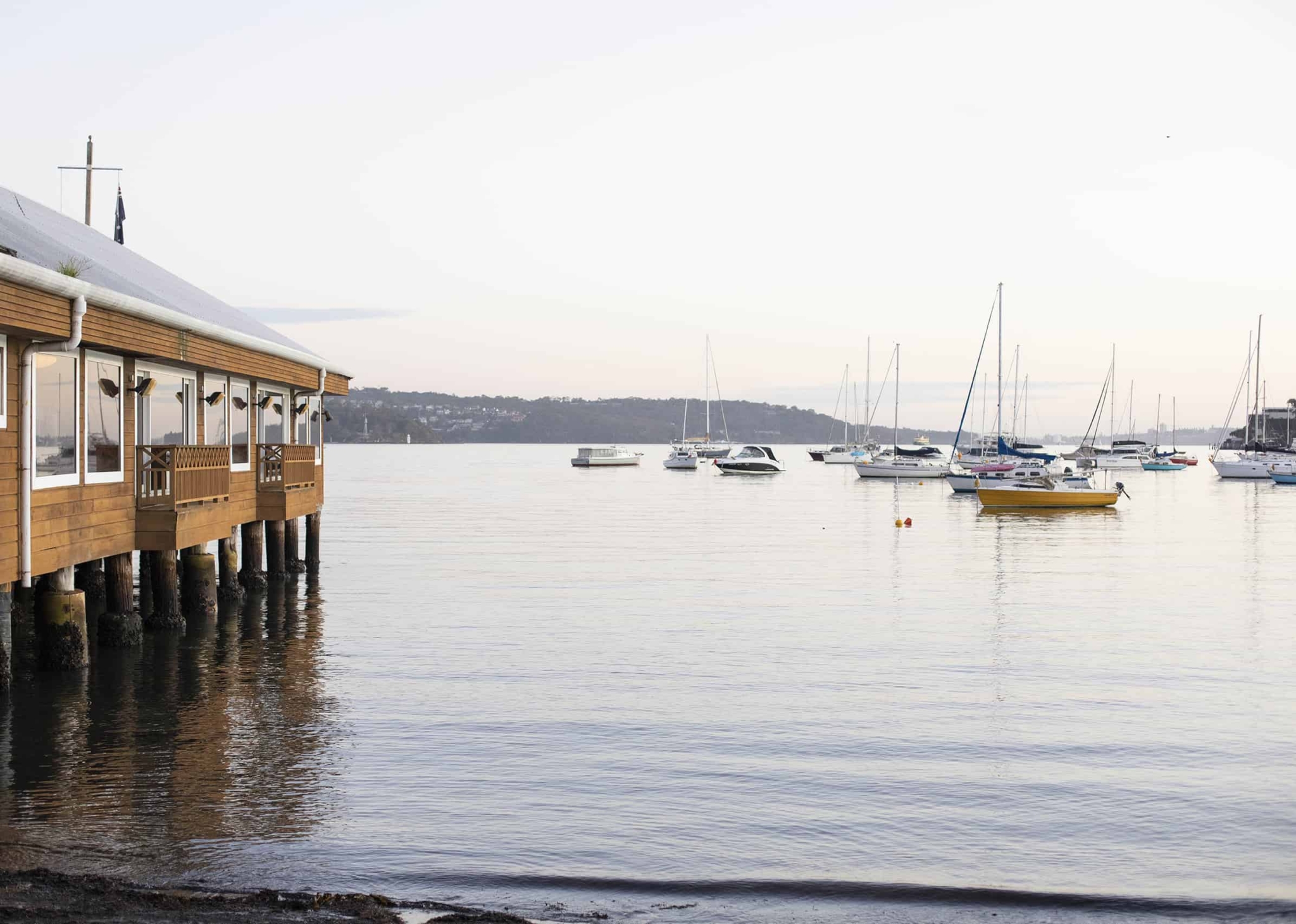 Pallas House Sydney - Fortis Development Group