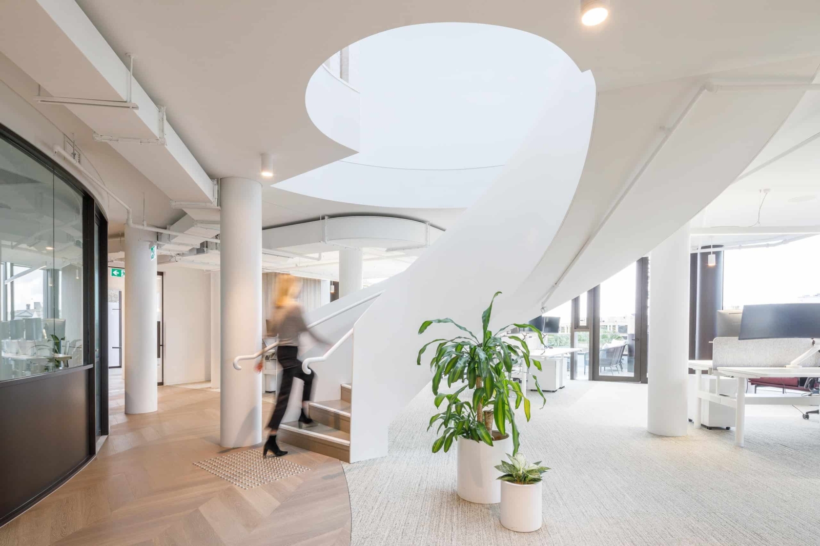 Pallas House Sydney - Fortis