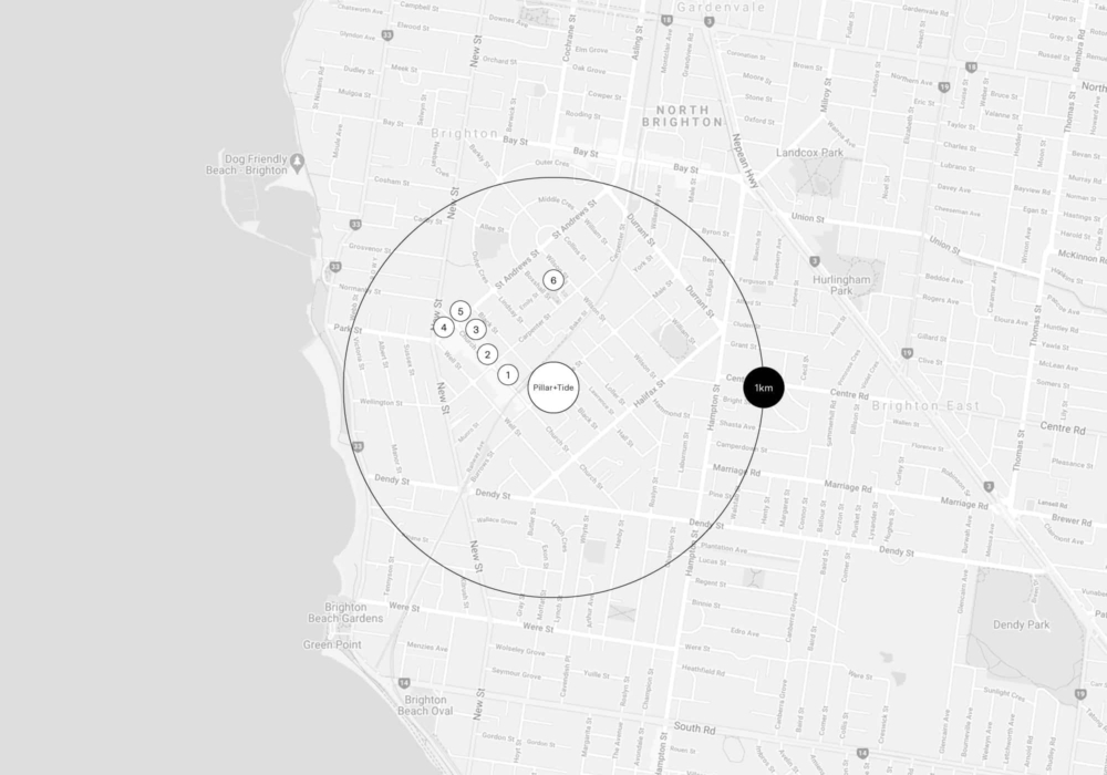 Pillar+Tide - Fortis