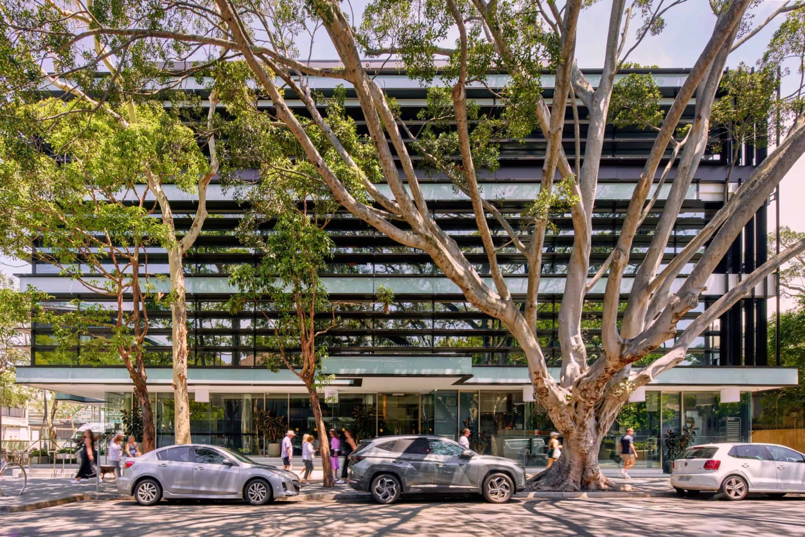 Pallas House Sydney - Fortis