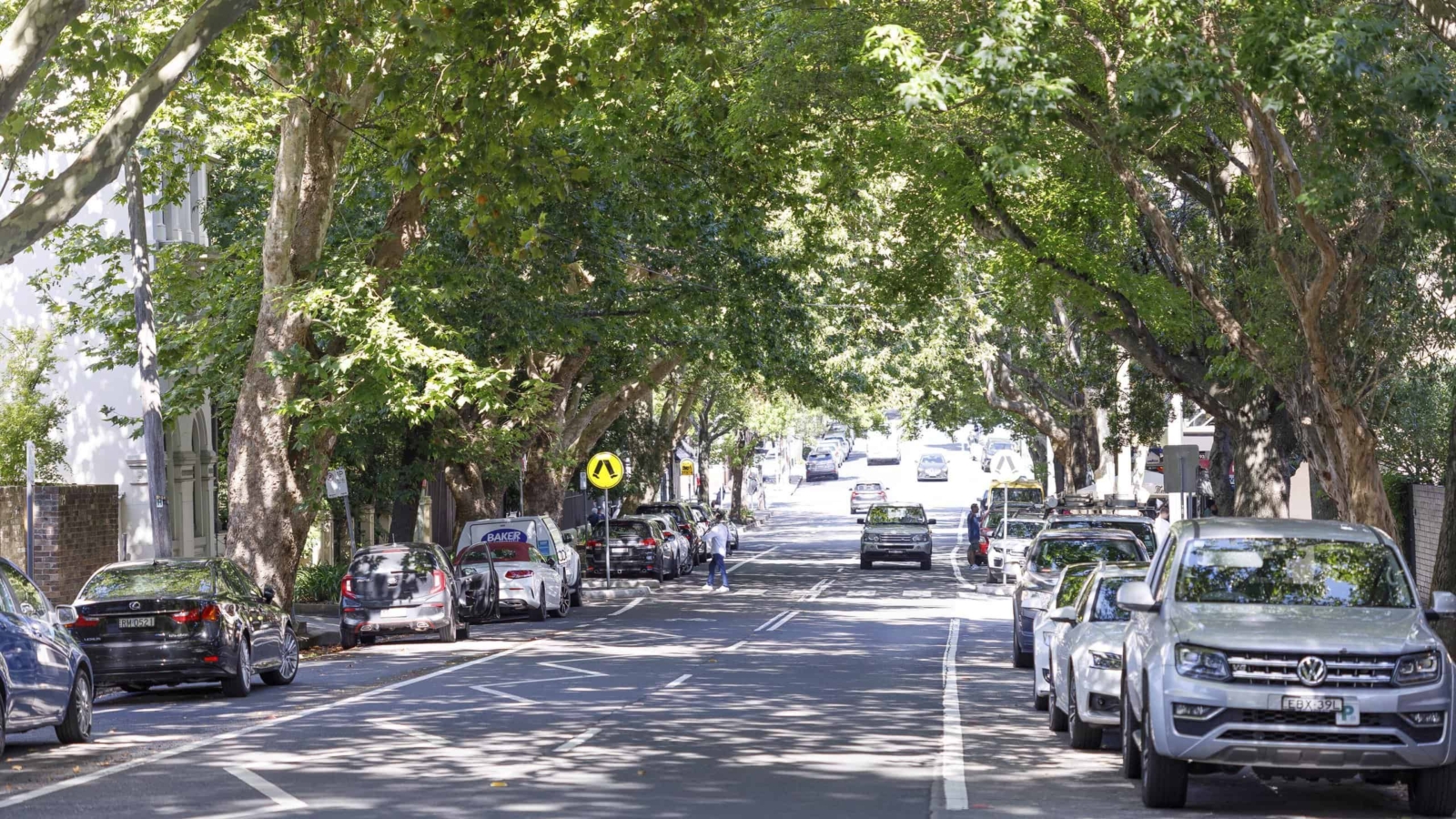 Woollahra Collection - Fortis