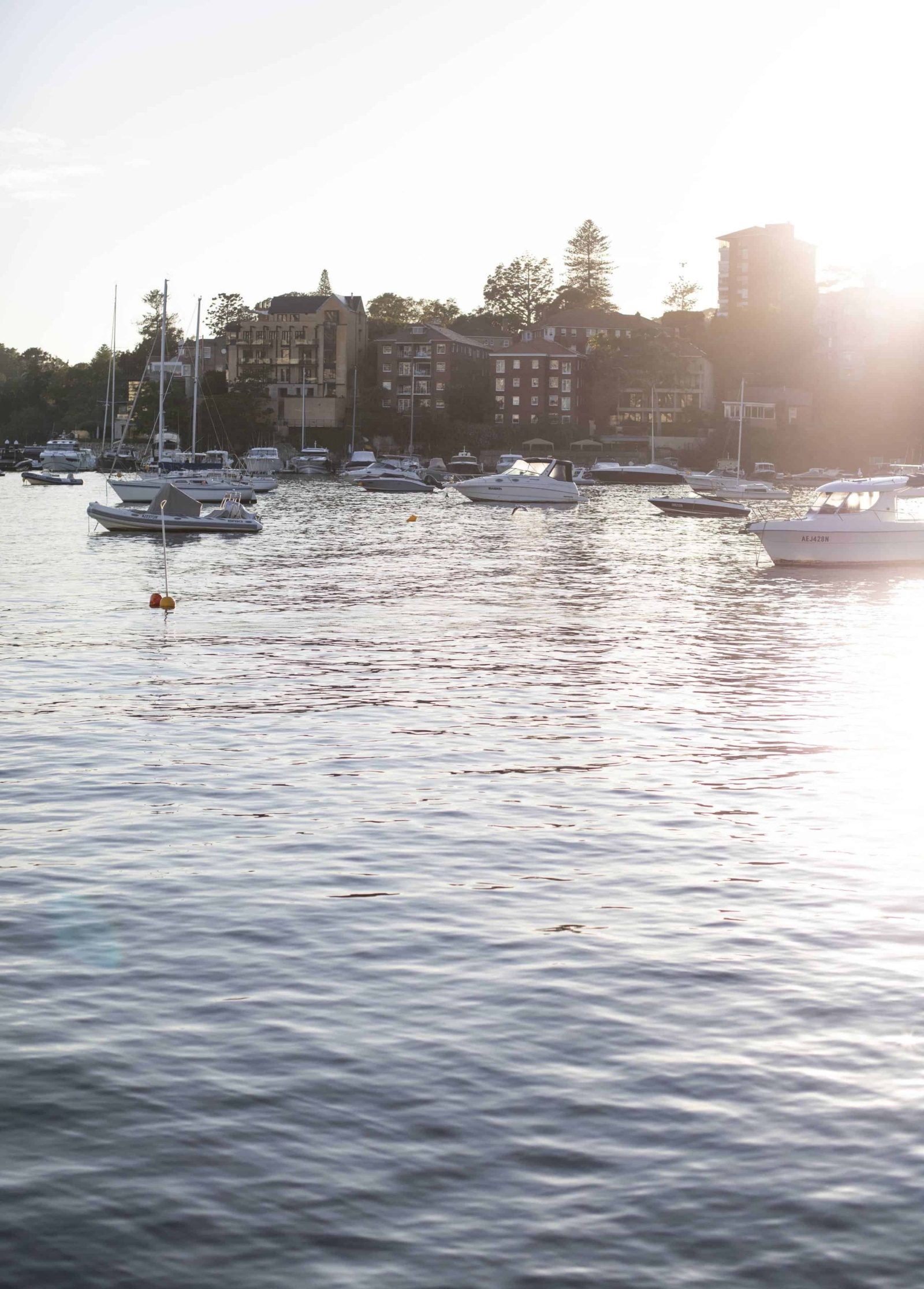 Ruby House - Fortis Development Group