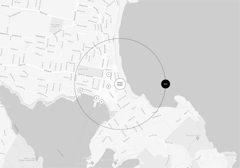 White Water - Fortis